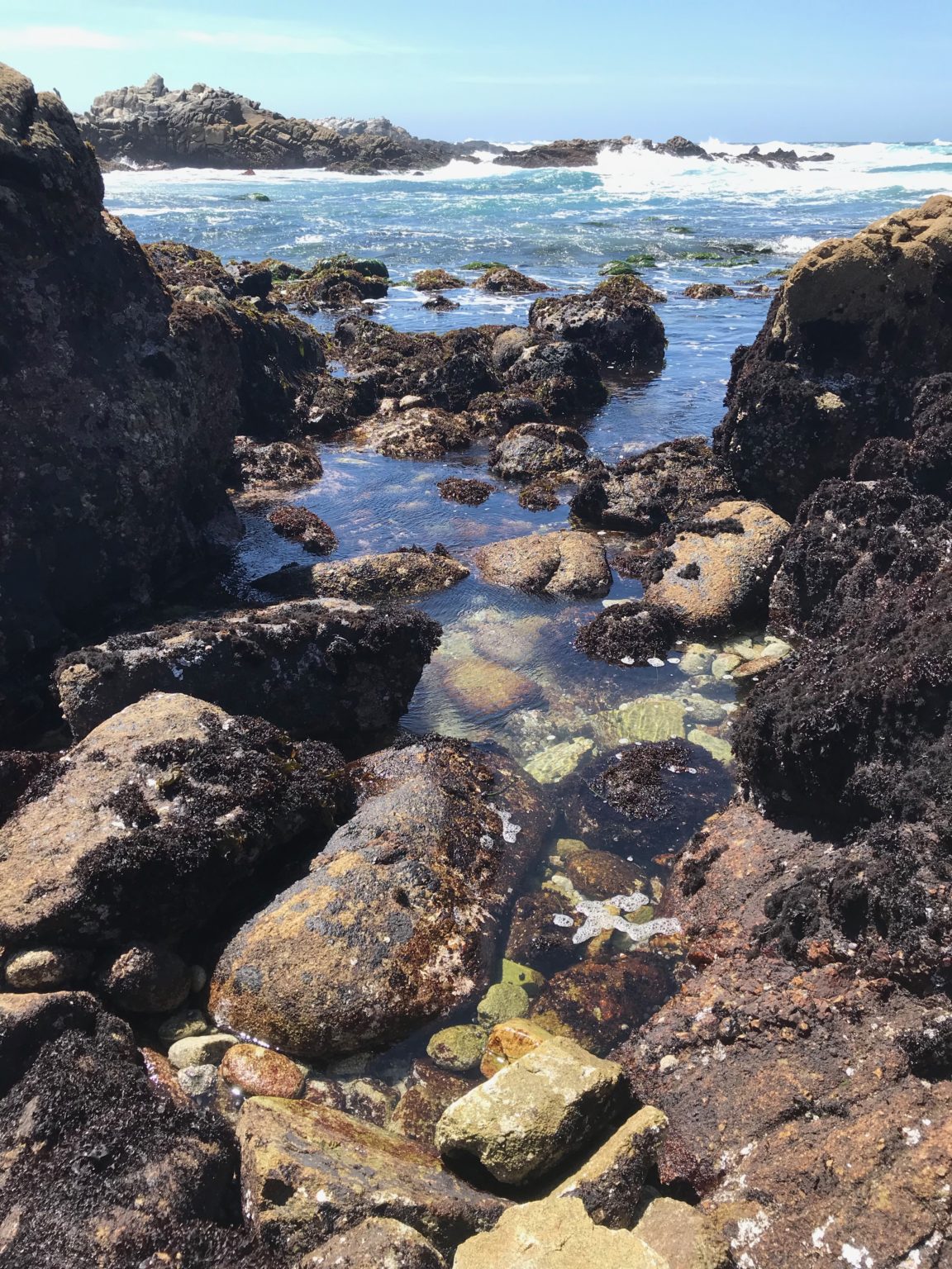 Monterey Bike Trail - Jay's Essential Bike Rides