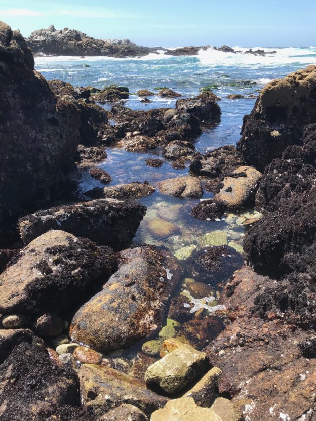 Monterey Bike Trail - Jay's Essential Bike Rides